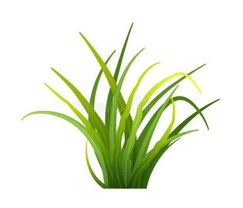 Bunch Spring Fresh Greens Isolated Realistic Green Grass Vector Objects Isolated Stock Vector