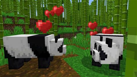 How To Breed Pandas In Minecraft