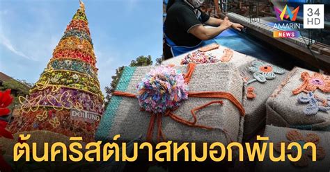 ต้นคริสต์มาสหมอกพันวา รวมข่าวของ ต้นคริสต์มาสหมอกพันวา อัพเดตเรื่อง ต้น