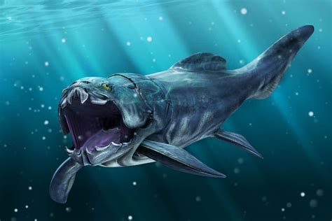 Dunkleosteus Facts And Pictures