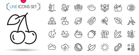 갑판 의자 체리와 해바라기 씨 라인 아이콘의 팩입니다 픽토그램 아이콘입니다 벡터 건강관리와 의술에 대한 스톡 벡터 아트 및 기타 이미지 건강관리와 의술 달 하늘 벡터