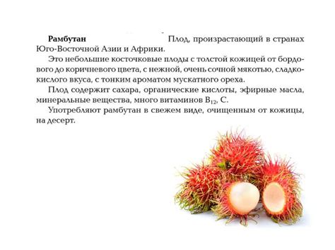 Экзотические плоды. Ягоды. Орехи - online presentation