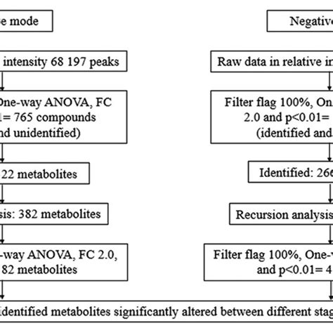 Workflow Analysis Process Using Mass Profile Professional Software