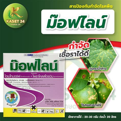 ยากำจัดเชื้อรา ม๊อฟไลน์ ไดเมโทมอร์ฟ ไพราโคลสโตรบิน กำจัดเชื้อไฟทอป