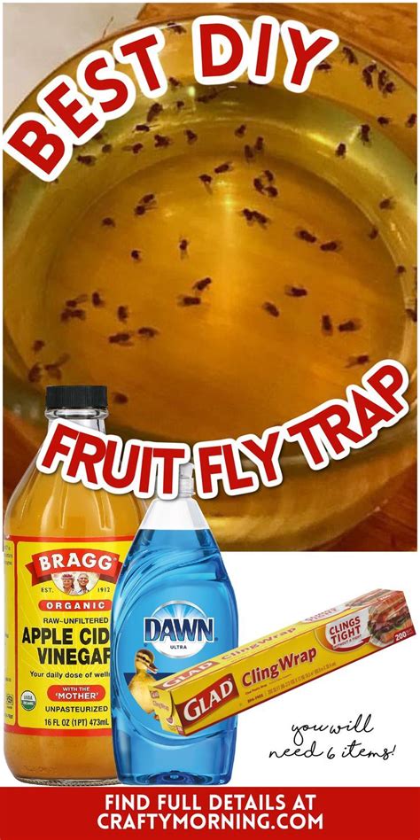 3 Best Diy Fruit Fly Traps To Get Rid Of Pesky Flies Artofit