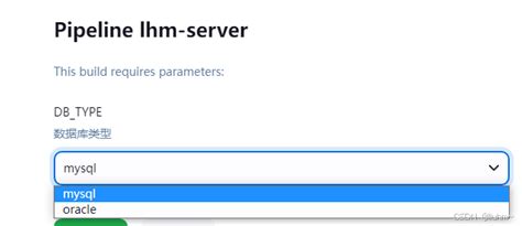 jenkins参数化构建详解 this project is parameterized csdn博客