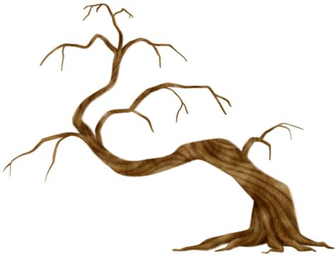 Tree Roots PNGs For Free Download