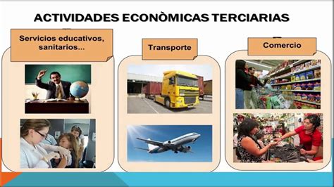 Qué Son Las Actividades Económicas Primarias Secundarias Y Terciarias