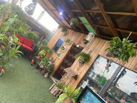 Soil Compost And Additives Savvy Gardens Centre