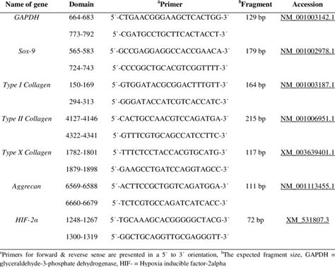 Sequence Of Primers Used For Rt Pcr To Evaluate Chondrogenic Phenotype