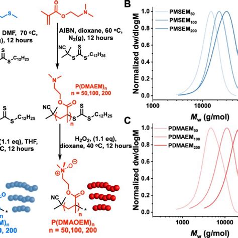 Synthesis Of Sulfoxide And Control Amine Oxide Polymers A Polymer Download Scientific