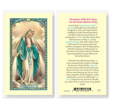 Devotions Of The Blessed Virgin Mary Laminated Holy Card 25 Pack