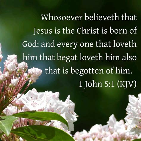 Bible Verse About Jesus And His Love John 21 15 19 John 21 15 17