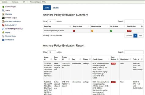 How To Install And Use Anchore Container Image Security Scanner