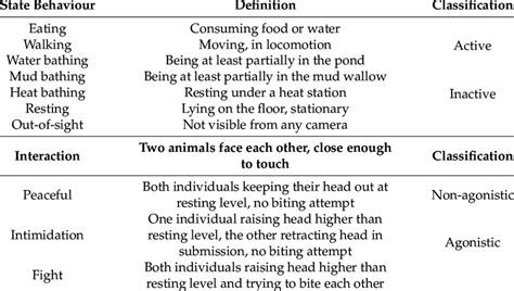 Ethogram Used For The Time Budgets And Description Of The Possible Download Scientific Diagram