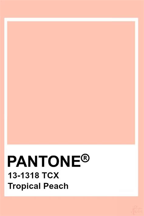 Pantone Misty Rose Color Wyvr Robtowner