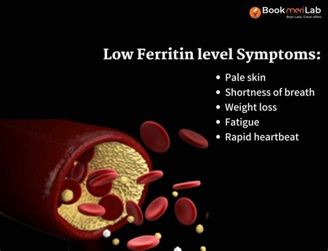 Ferritin Test Price Purpose Result And Range [2025] • Bookmerilab