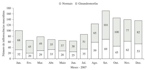 Emissão De Inflorescências Masculinas Normais E Ginandromorfas Durante