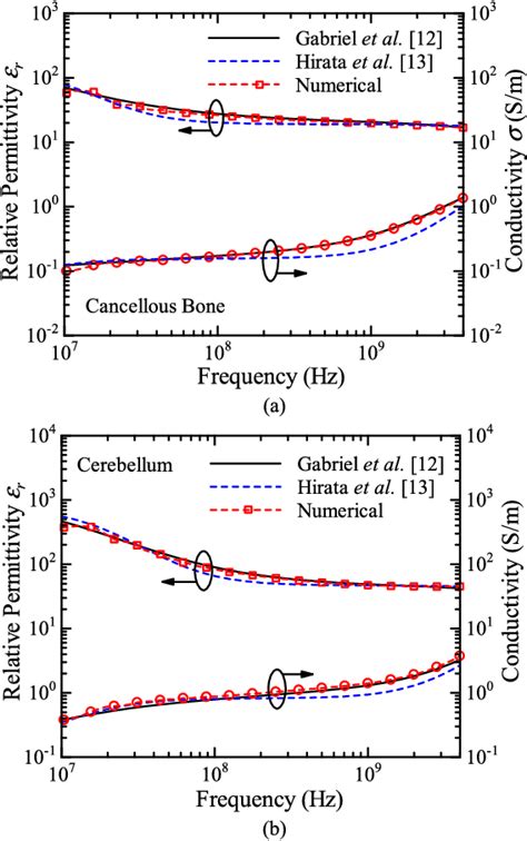Figure 1 From Numerical Dosimetry Of Electromagnetic Pulse Exposures Using Fdtd Method