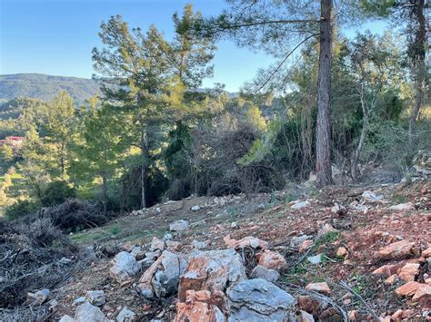 Akyaka Esentepe İmarli DaĞ Ova Manzarali 500m2 Arsa