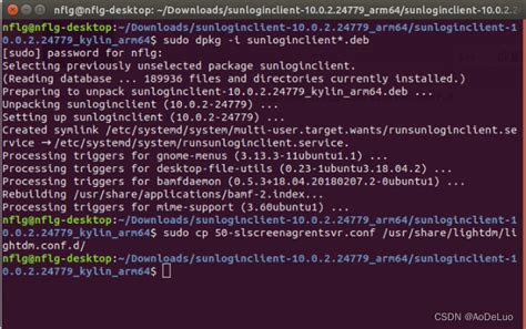 jetson nano ubuntu 安装向日葵远程控制软件 50 slscreenagrentsvr conf CSDN博客