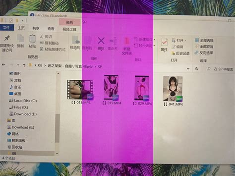 可单个（或60三个）主页加q On Twitter 发条少女 迷之呆梨 323g（25💰） 原文件303g ️目前323g 具体内存