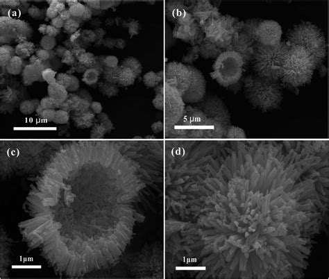 SEM Images Of The Nanorod Assembled NiCo 2 O 4 Hollow Microspheres