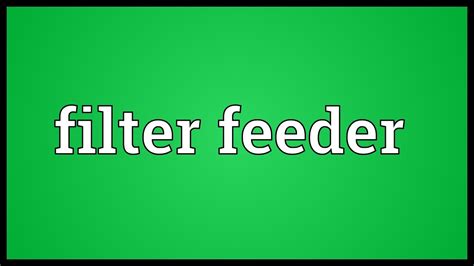 Filter Feeder Meaning Youtube