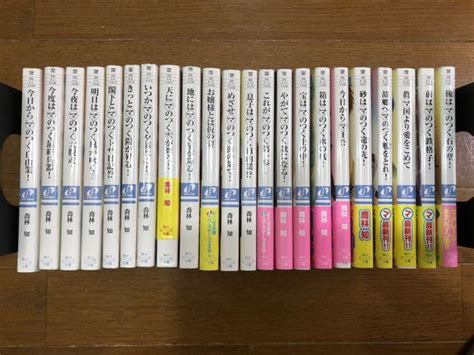 今日からマのつく自由業 小説版 22冊 メルカリ