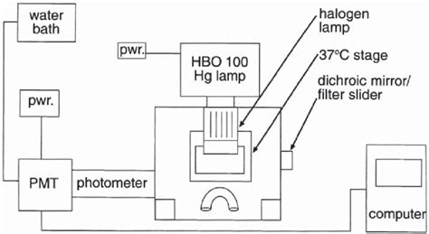 Schematic Arrangement Of The Instrument Components The Microscope Is