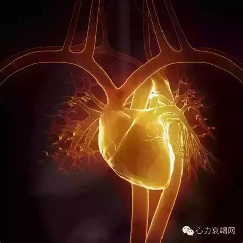 强化降糖可降低 T2dm 心血管事件风险心力衰竭和心肌病网
