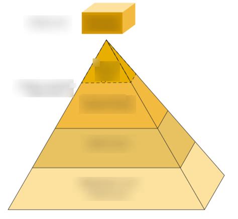 Hass Civics And Citizenship Diagram Quizlet
