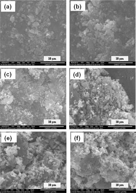 Sem Micrographs Of Mg X Ha Samples After Soaking In Sbf For 14 Days Download Scientific