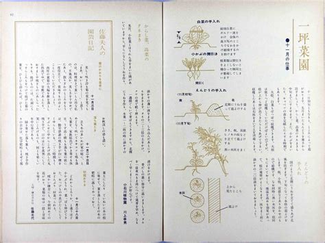 栄養と料理デジタルアーカイブス｜ 昭和38年1963年11月第29巻第11号