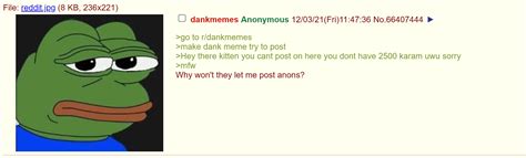 Anon Tries Reddit Rgreentext
