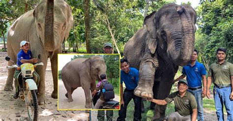 អ្នកនឹងមិនបោះចោលកាកសំណល់ផ្ទះបាយទាំង ៤ នេះទៀតទេ ក្រោយបានដឹងពីផលប្រយោជន៍របស់វា Khmerload