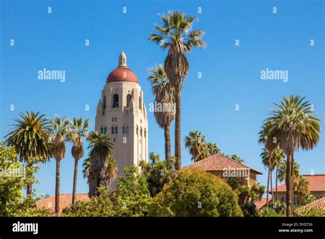 Hoover Tower Sticking Up Among Palm Trees And Red Rooftops On Stanford