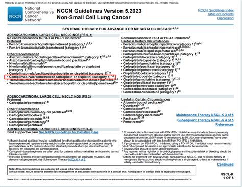指南更新 非小细胞肺癌nccn指南2024v1版更新概要汇总非小细胞肺癌鳞状细胞癌nccn指南汇总v5顺铂证据卡铂