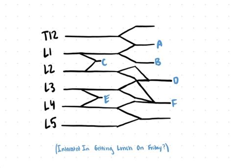 Lumbar Plexus Flashcards Quizlet