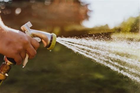 11 Homemade Irrigation System Hacks That Experts Keep Under Wraps