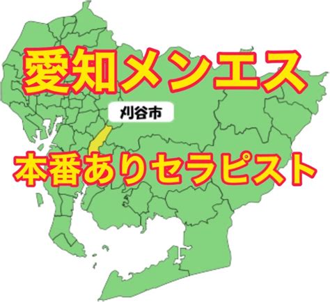 ※閉店※愛知県刈谷市のメンエスで女性らしい笑顔が魅力的な細身セラピストと本番できてしまった体験レポートの限定公開部分 ワクスト