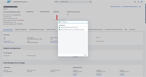 Fscm Release Blocked Sales Orders Using Manage C Sap Community