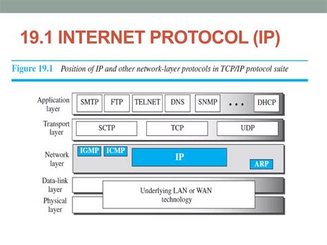 19 Network Layer Protocols Pptx