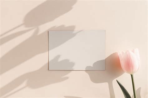 무디 튤립 꽃 그림자와 복사 공간 클로즈업 상단 보기와 가벼운 파스텔 배경에 빈 카드 모형 0명에 대한 스톡 사진 및 기타