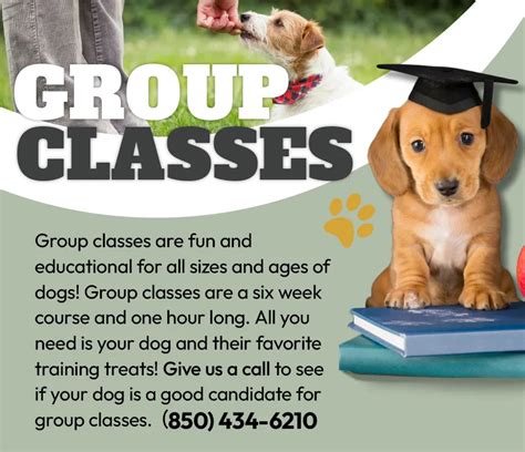 Group Classes