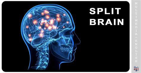 Split Brain Behavioral Experiment [multimedia English Videos]