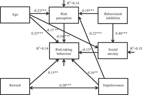 Path Model Exploring The Relationship Between Risk Perception Download Scientific Diagram