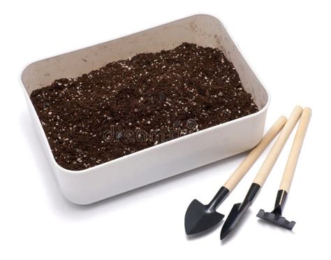 Plastic Box With Substrate Soil For Transplanting Houseplants Isolated