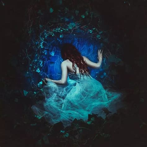 十五张唯美创意摄影照片。