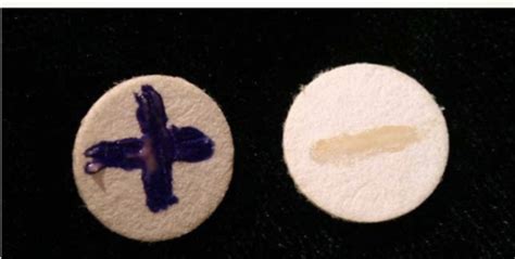 Oxidase Test Ex 15 Flashcards Quizlet